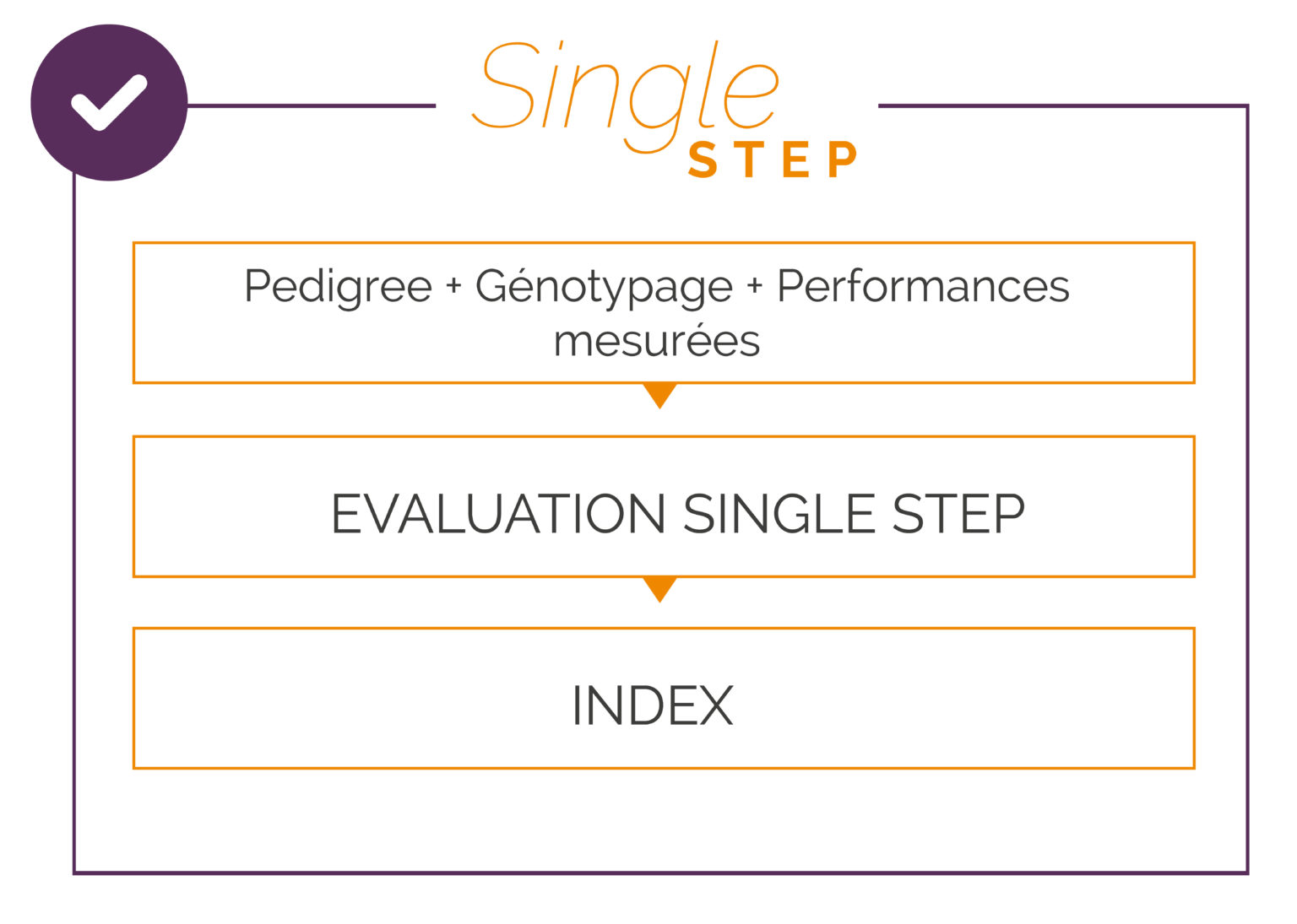 Single Step: towards a better representation of genetic progress