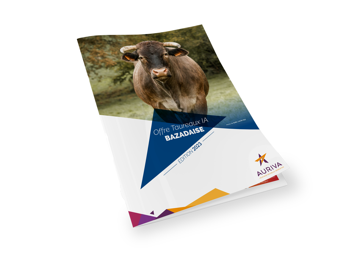 BAZADAIS - AURIVA-Elevage.com