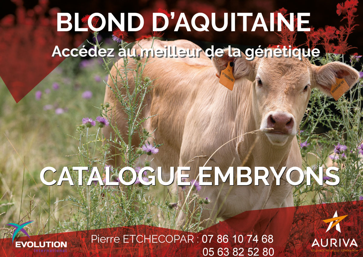 Catalogues embryons - AURIVA-Elevage.com