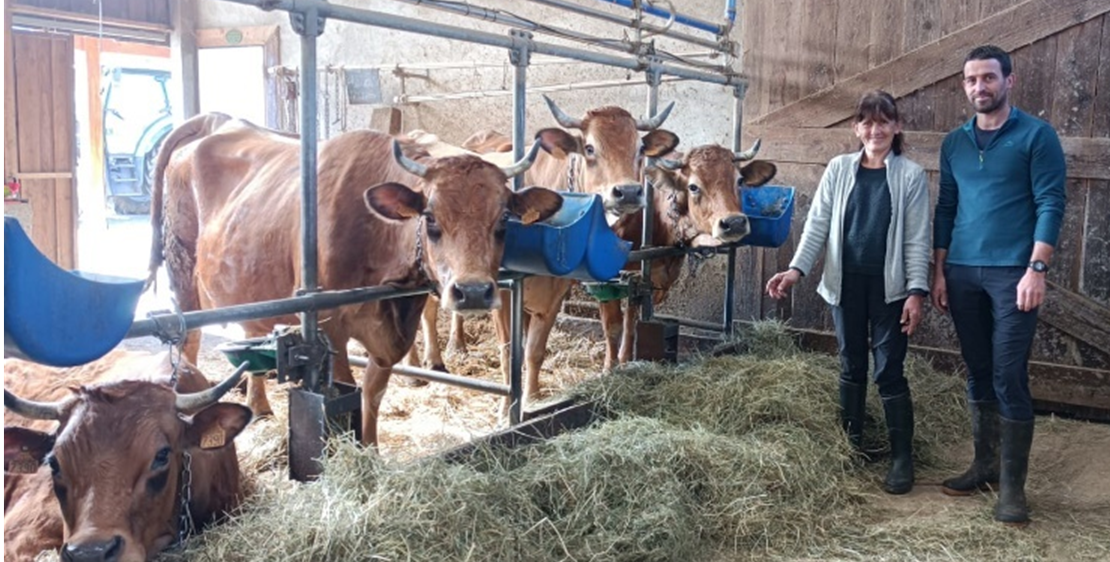 La Tarine trouve sa place dans les Pyrénées ! - AURIVA-Elevage.com