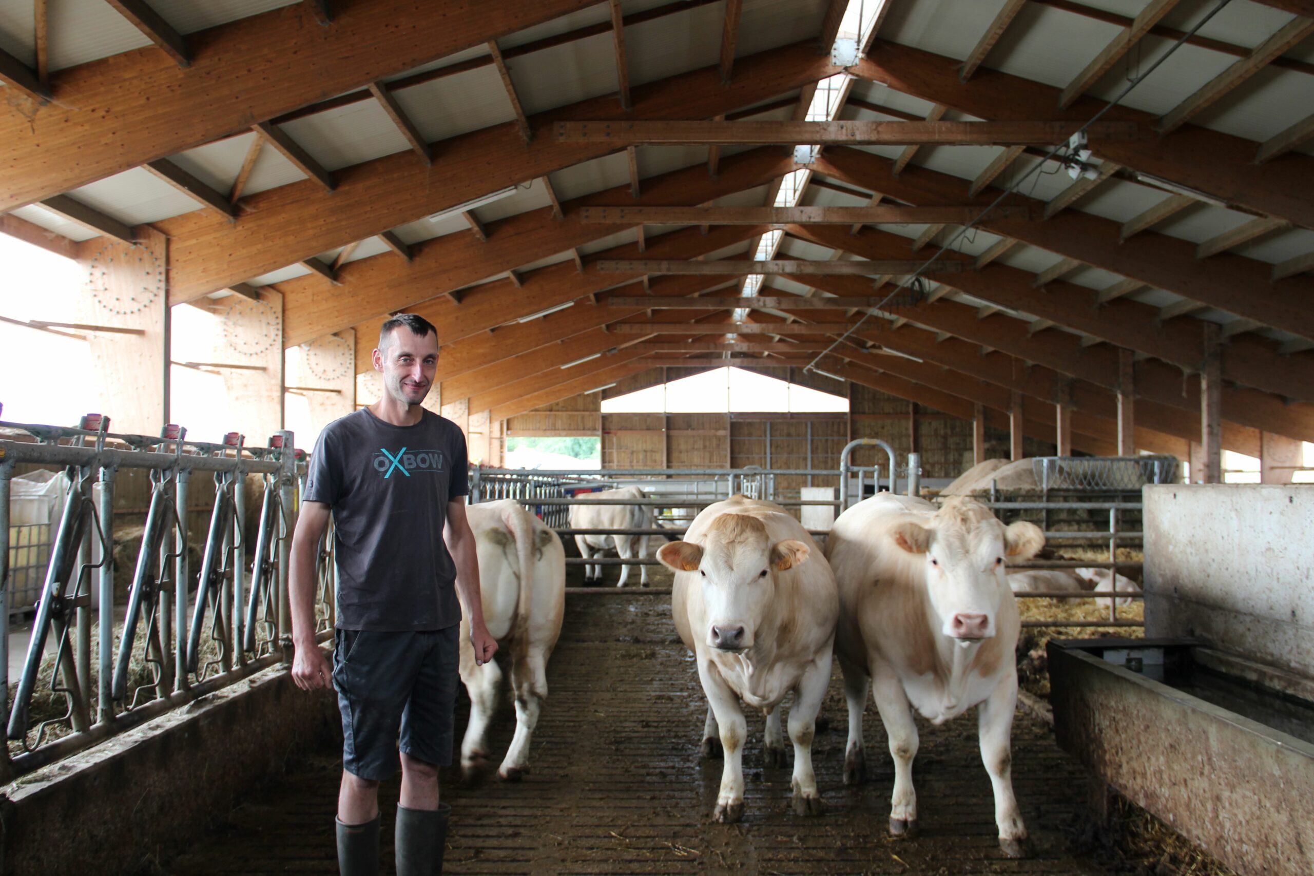 Optimize to win! - AURIVA-Elevage.com