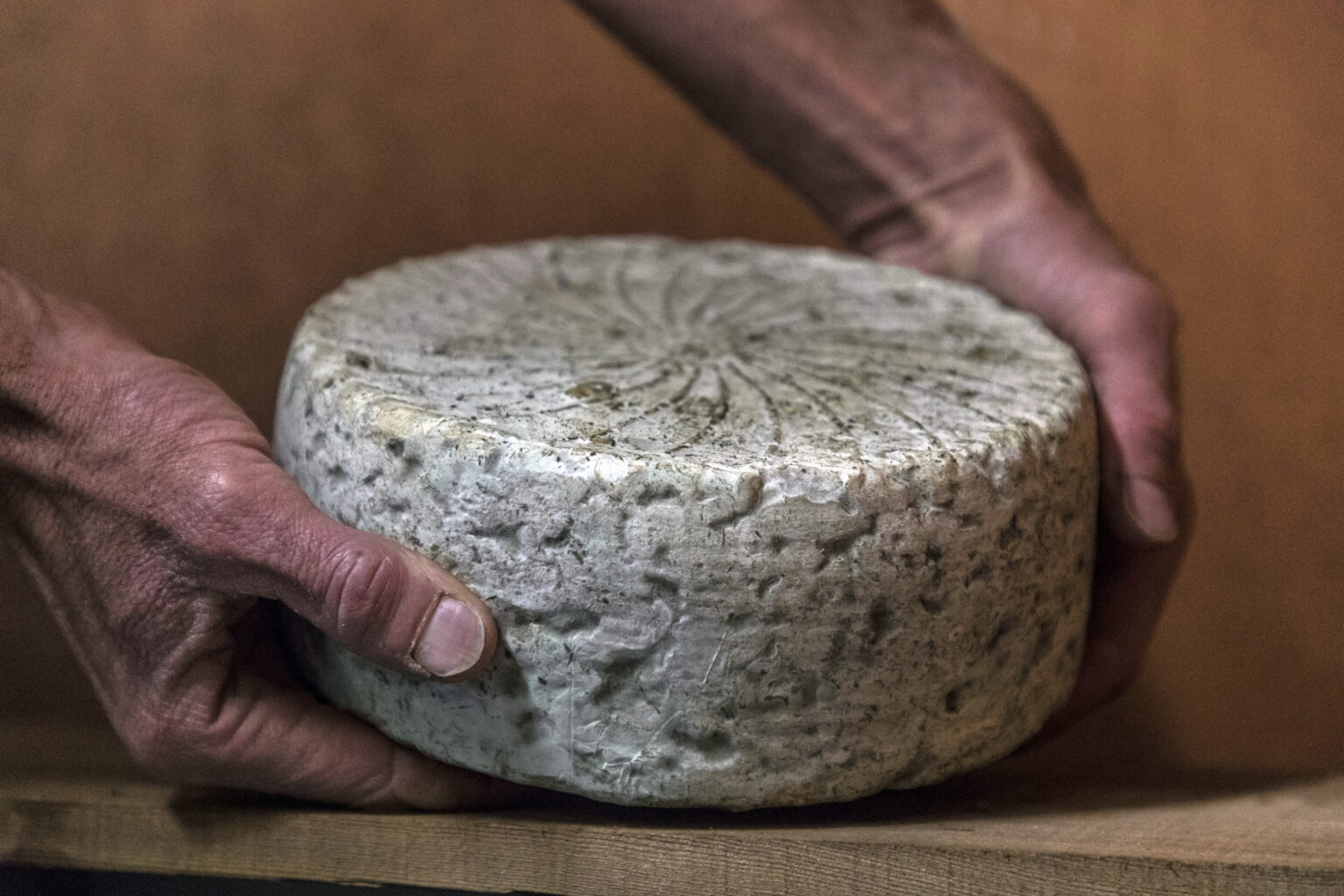 Blue as the Queyras sky - AURIVA-Elevage.com