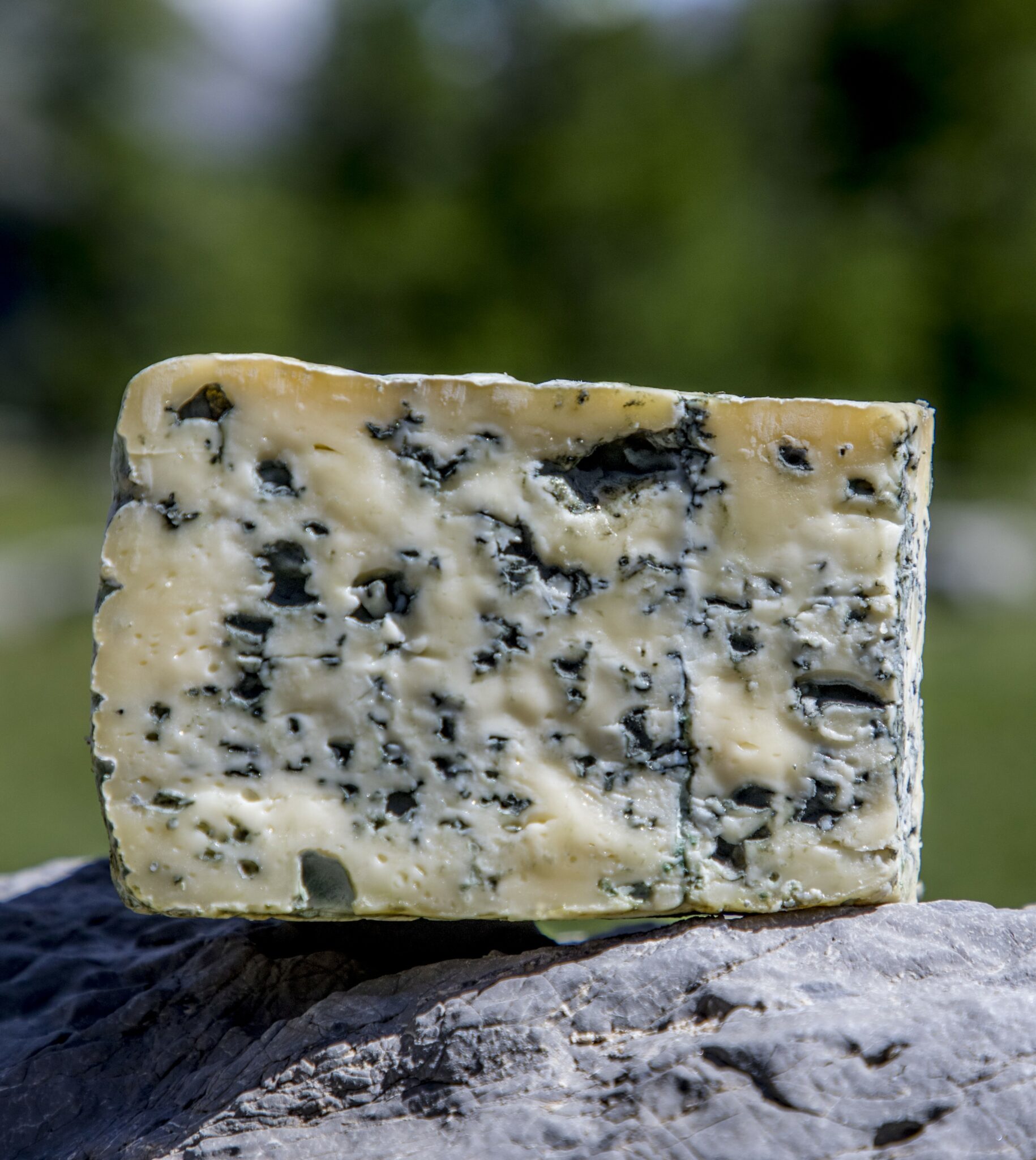 Blue as the Queyras sky - AURIVA-Elevage.com